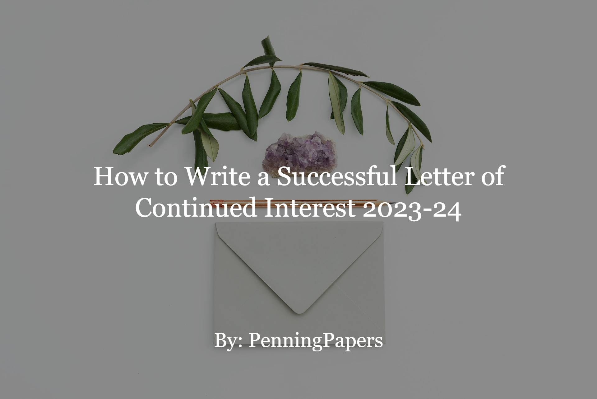 How to Write a Successful Letter of Continued Interest 2023-24 ...
